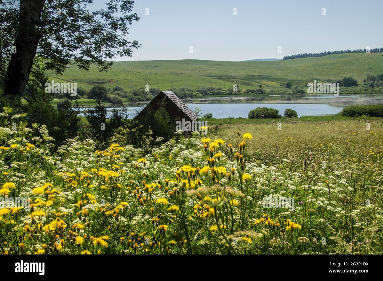 Naturel environment hi-res stock photography and images - Alamy