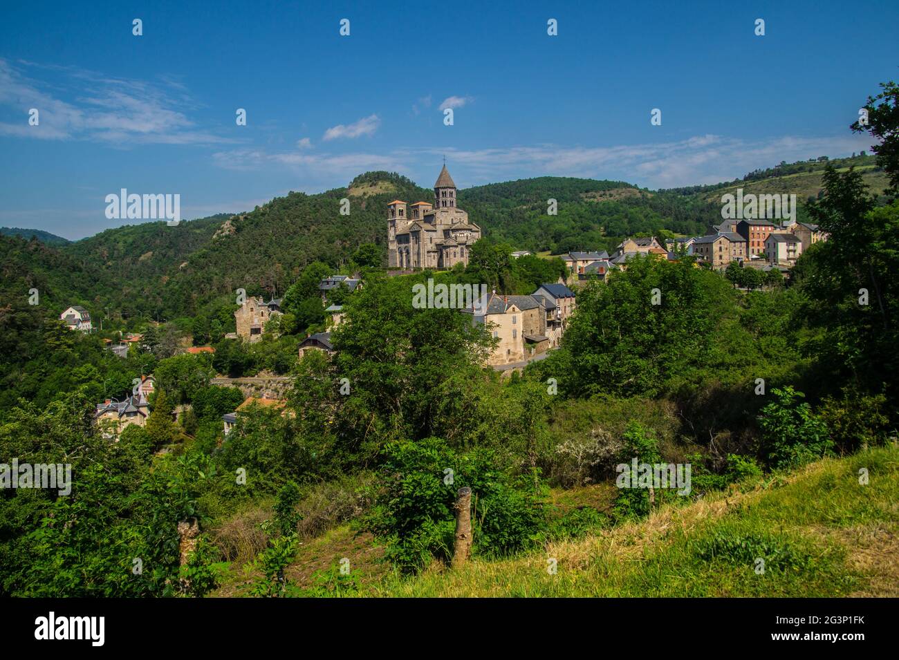 Naturel plant hi-res stock photography and images - Alamy