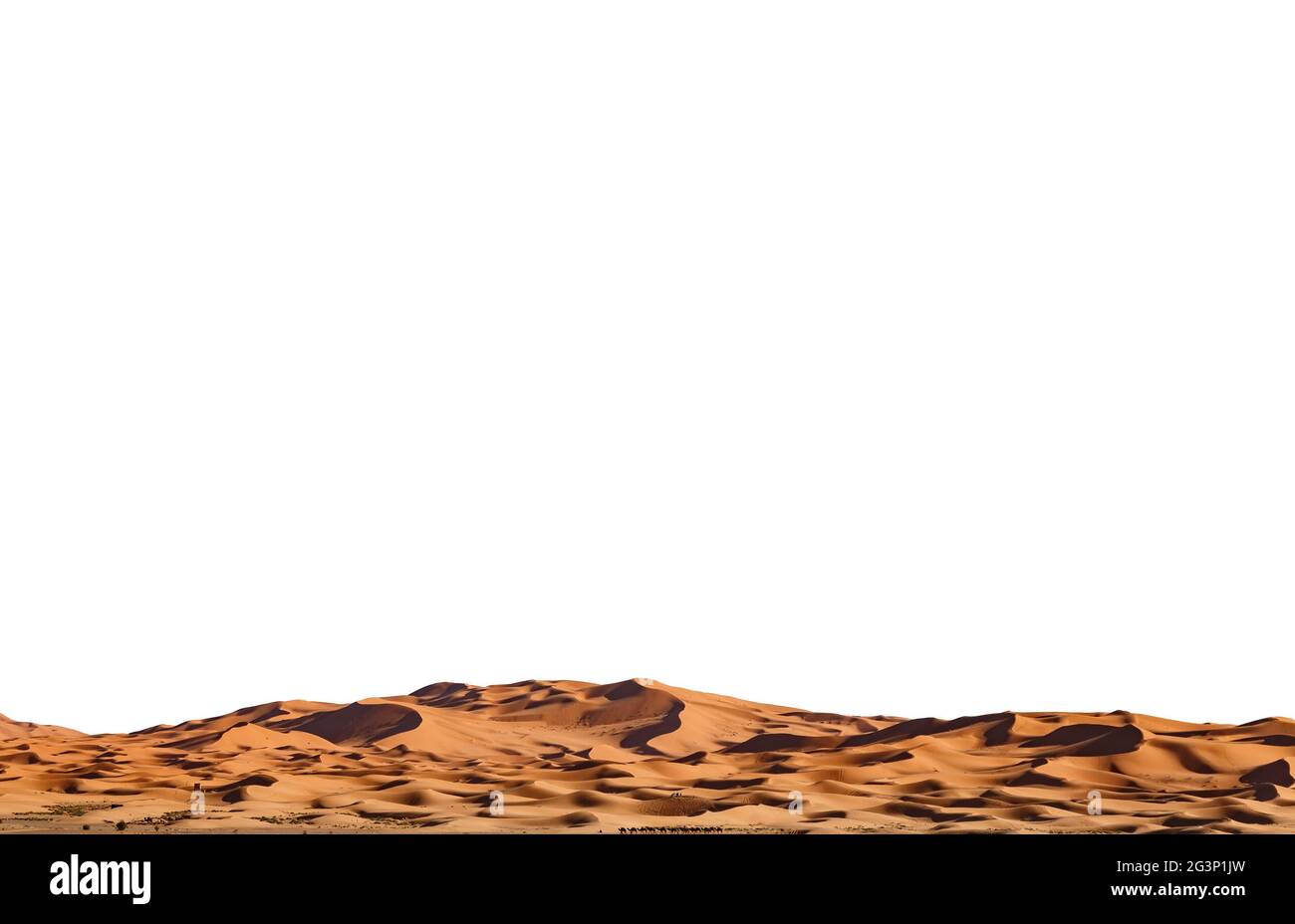 Row Of Camels High Resolution Stock Photography and Images - Alamy