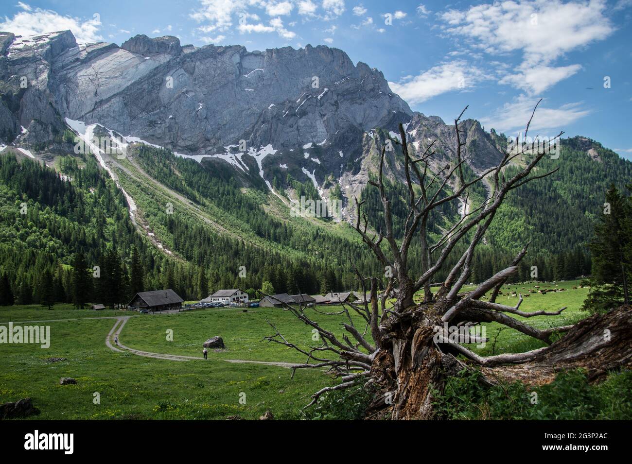 Landscape of the Swiss Alps Stock Photo - Alamy