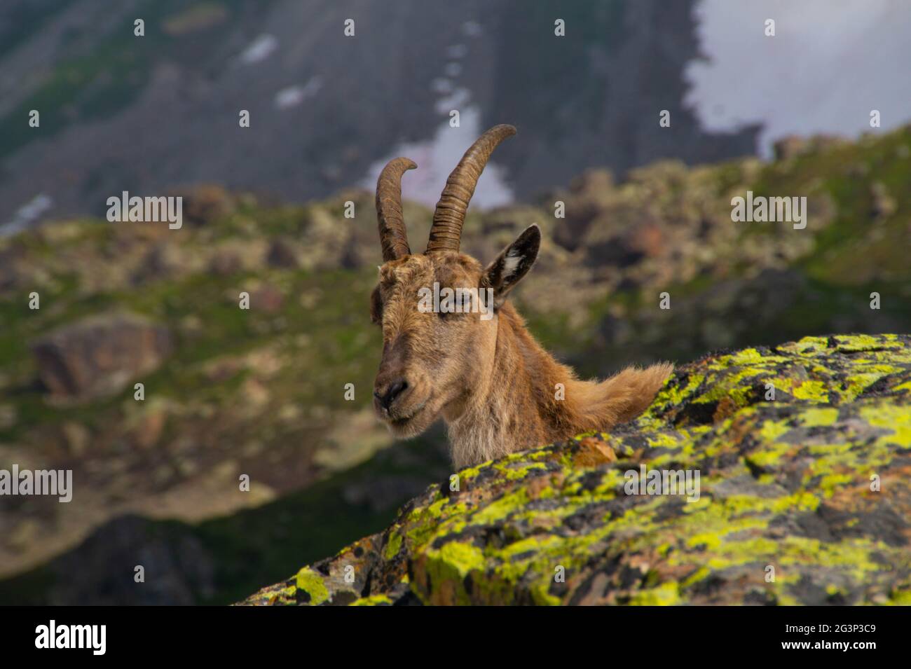 Landscape of the Alps in France Haute Savoie Stock Photo - Alamy