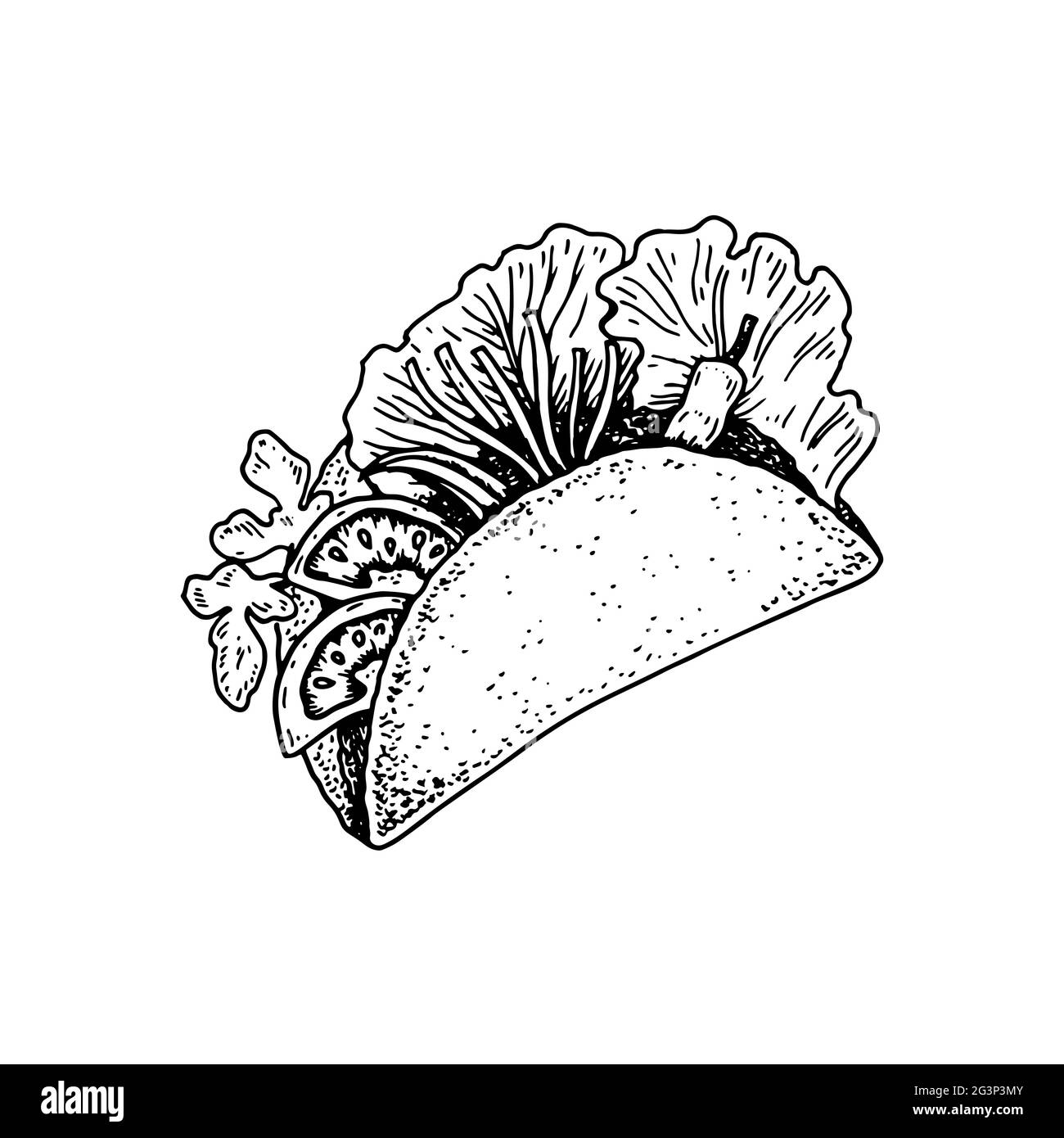 Taco Illustration