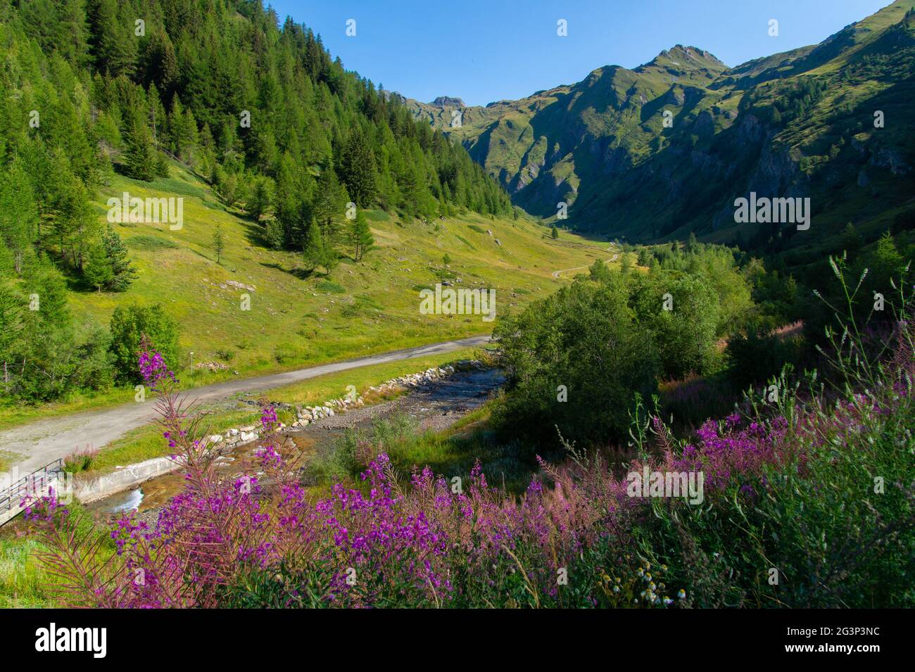 Landscape of italian alps in val aosta Stock Photo - Alamy