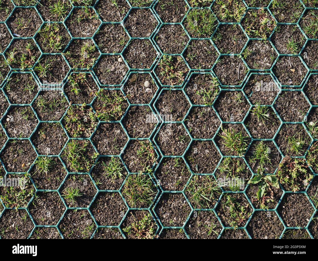 Lawn protection hi-res stock photography and images - Alamy