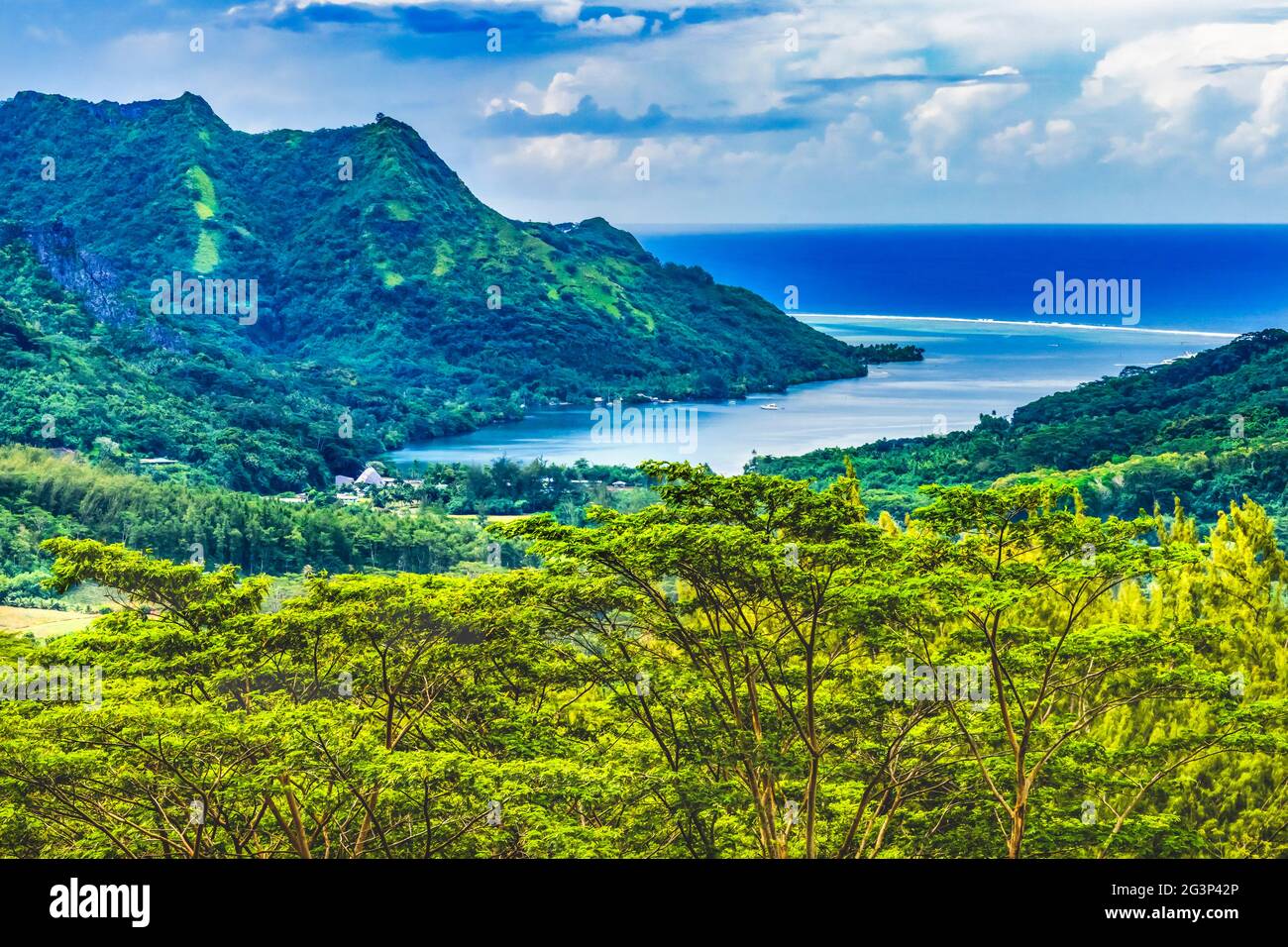 Colorful Opunohu Bay Blue Pacific Ocean Moorea Tahiti French Polynesia ...