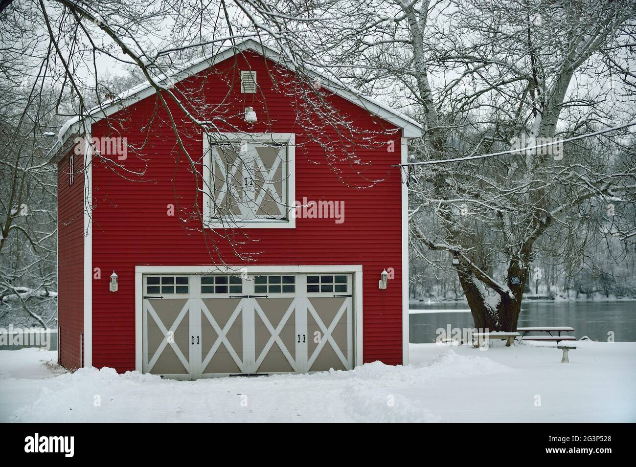 Red fox in a snowstorm hi-res stock photography and images - Alamy
