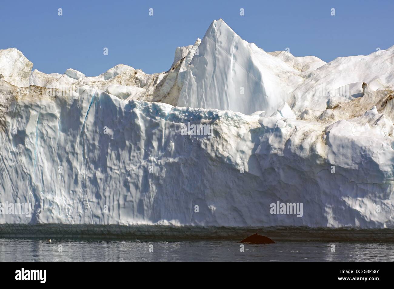 Icefront hi-res stock photography and images - Alamy