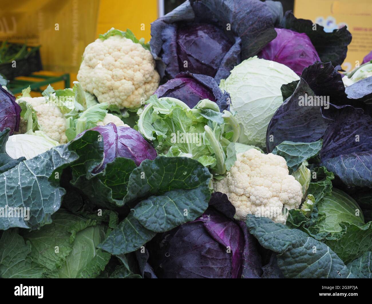 Cabbage vegetables food Stock Photo - Alamy