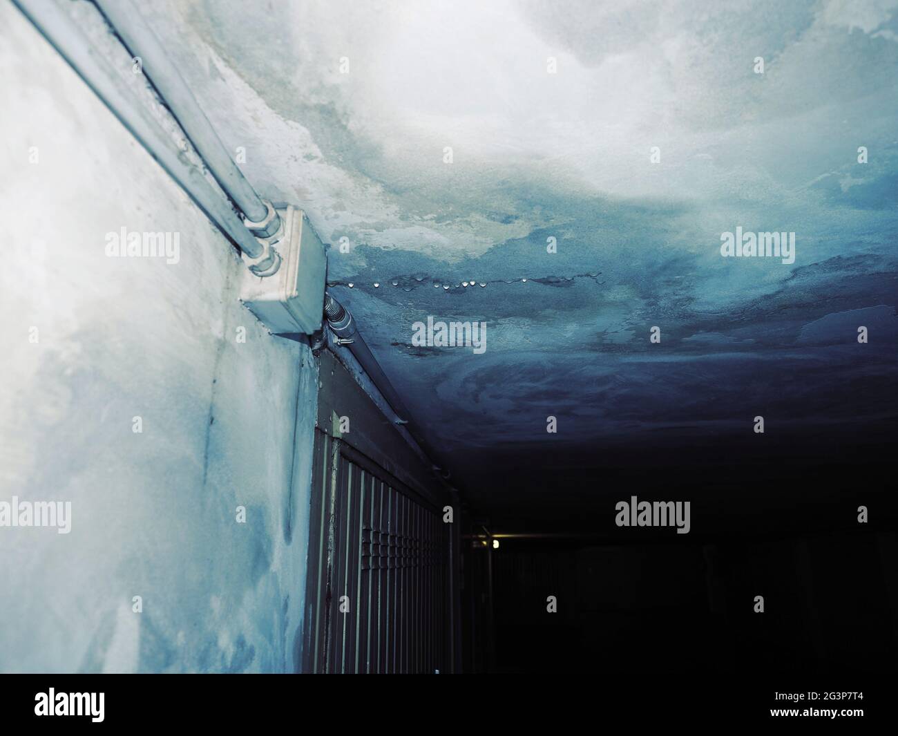 Dampness moisture on ceiling with drops of water infiltration Stock ...