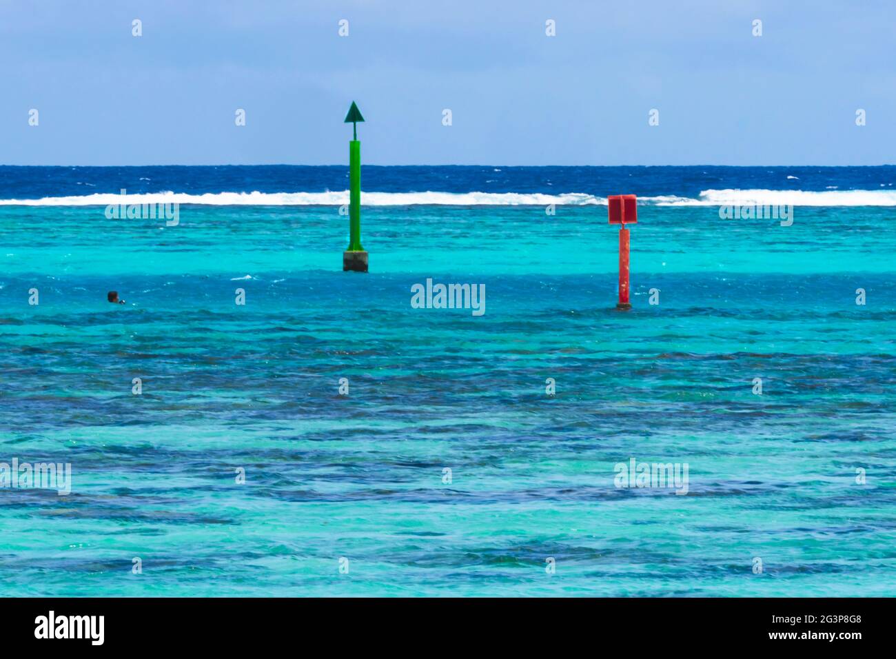 Colorful Red Green Markers Swimming Snorkeling Blue Water Reef Moorea ...