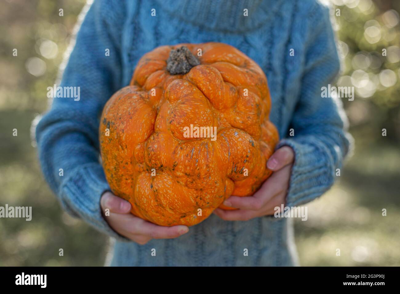 Deformed ugly orange pumpkin in a child hands Stock Photo - Alamy