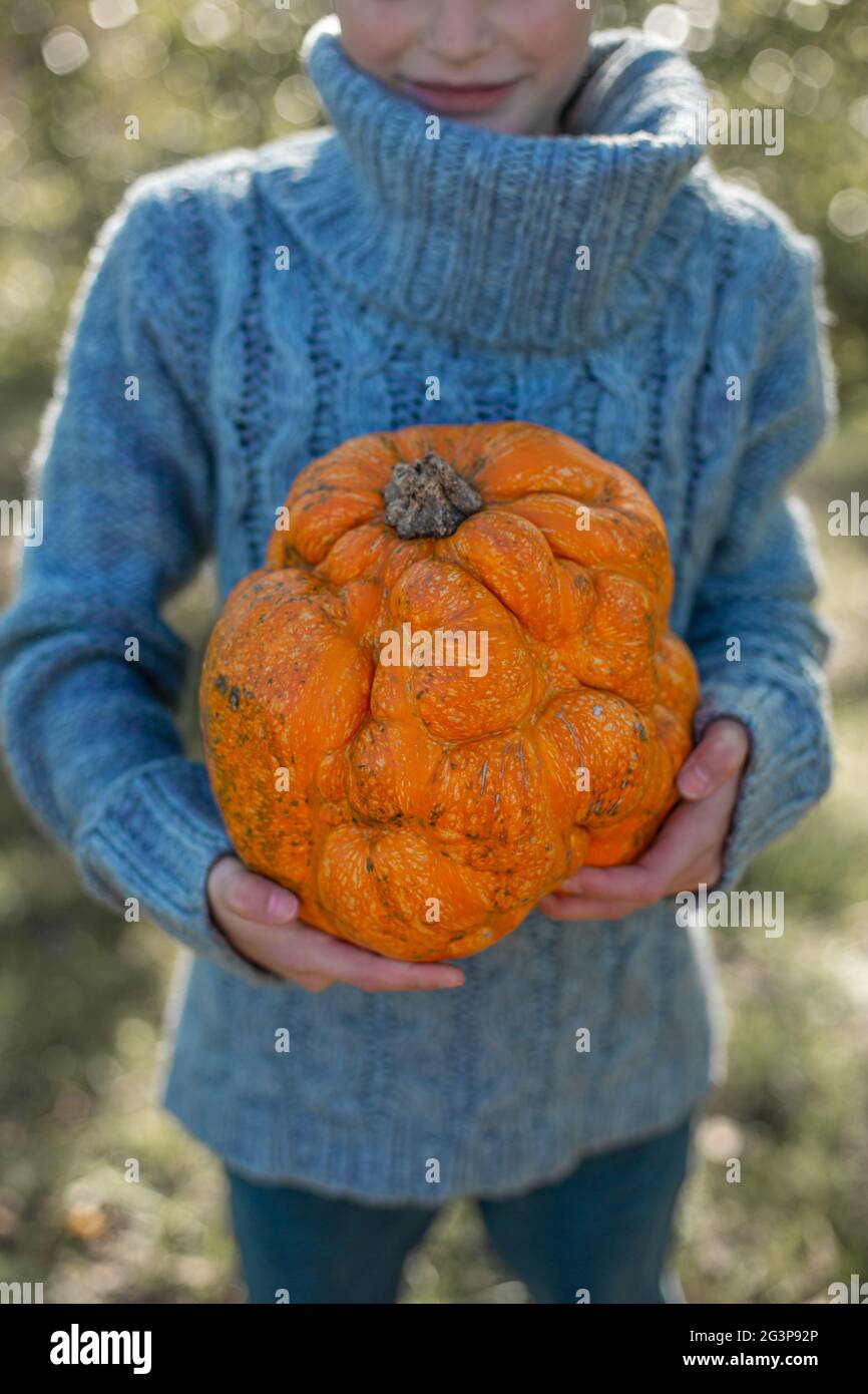 Deformed ugly orange pumpkin in a child hands Stock Photo - Alamy