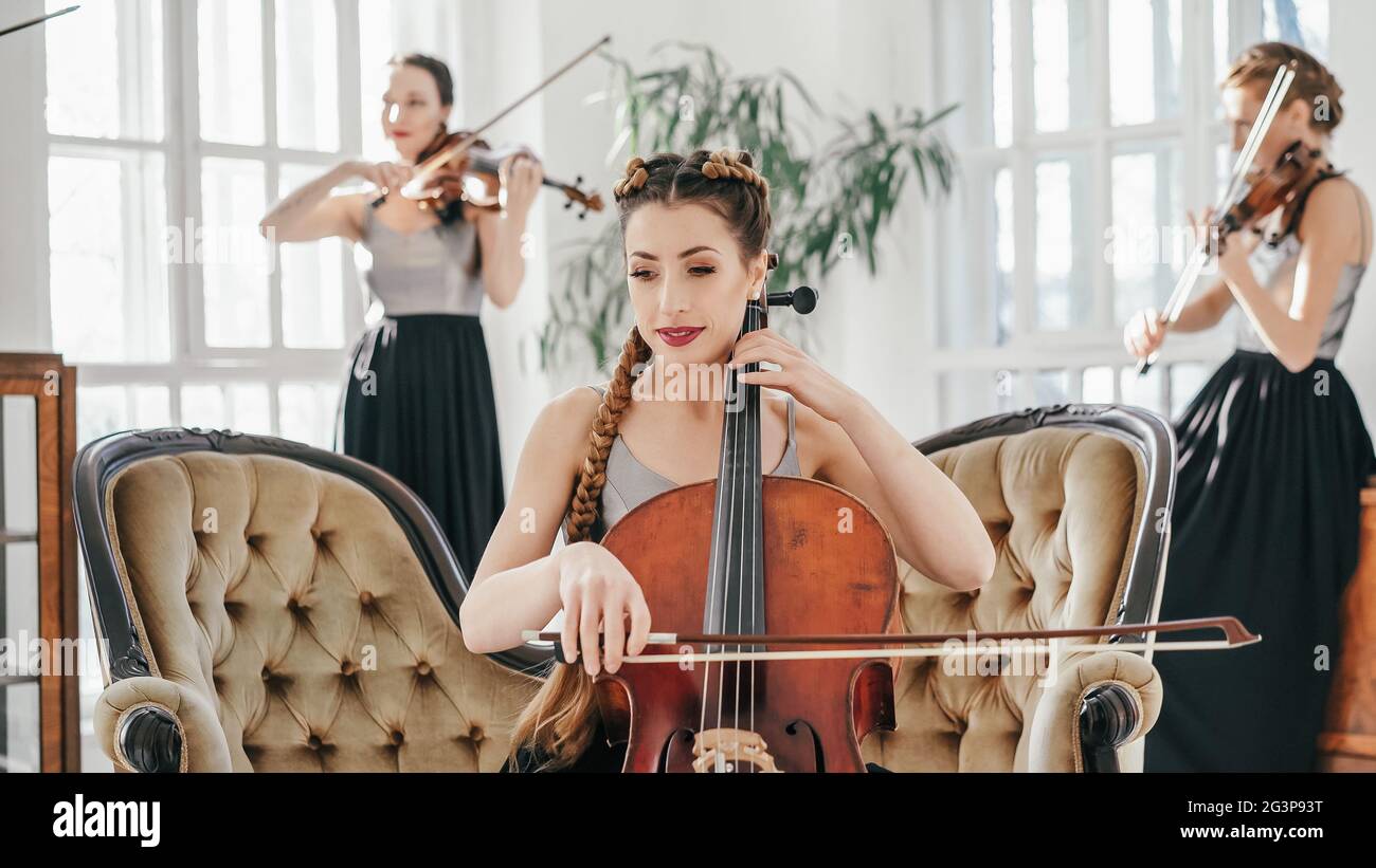 String Quartet Playing Classical Music High Resolution Stock ...