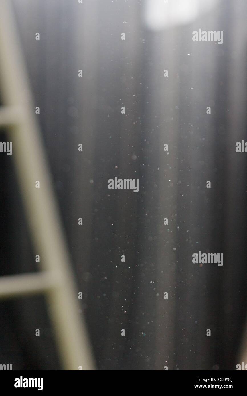 Dust in the room, in the sunlight from the window, in the Stock Photo ...