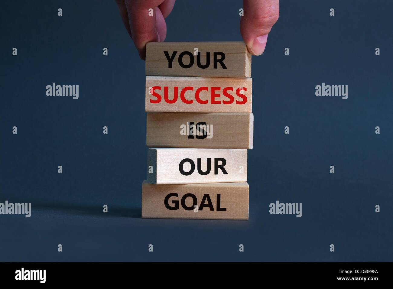 Your success is our goal symbol. Wooden blocks with words 'your success ...