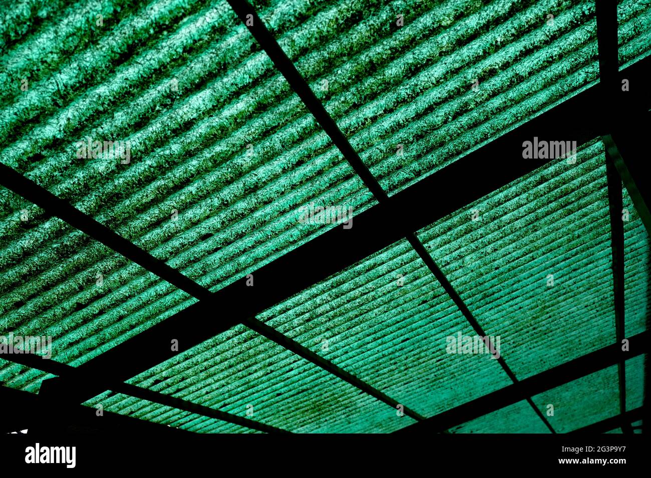 Geometric polycarbonate green corrugated roof Stock Photo - Alamy