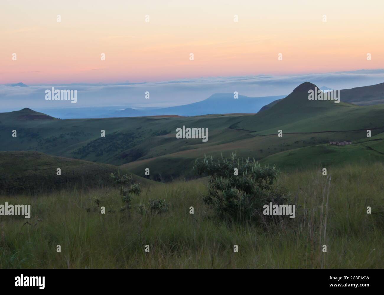 View over the Afromontane grasslands of the Drakensberg Mountains of ...