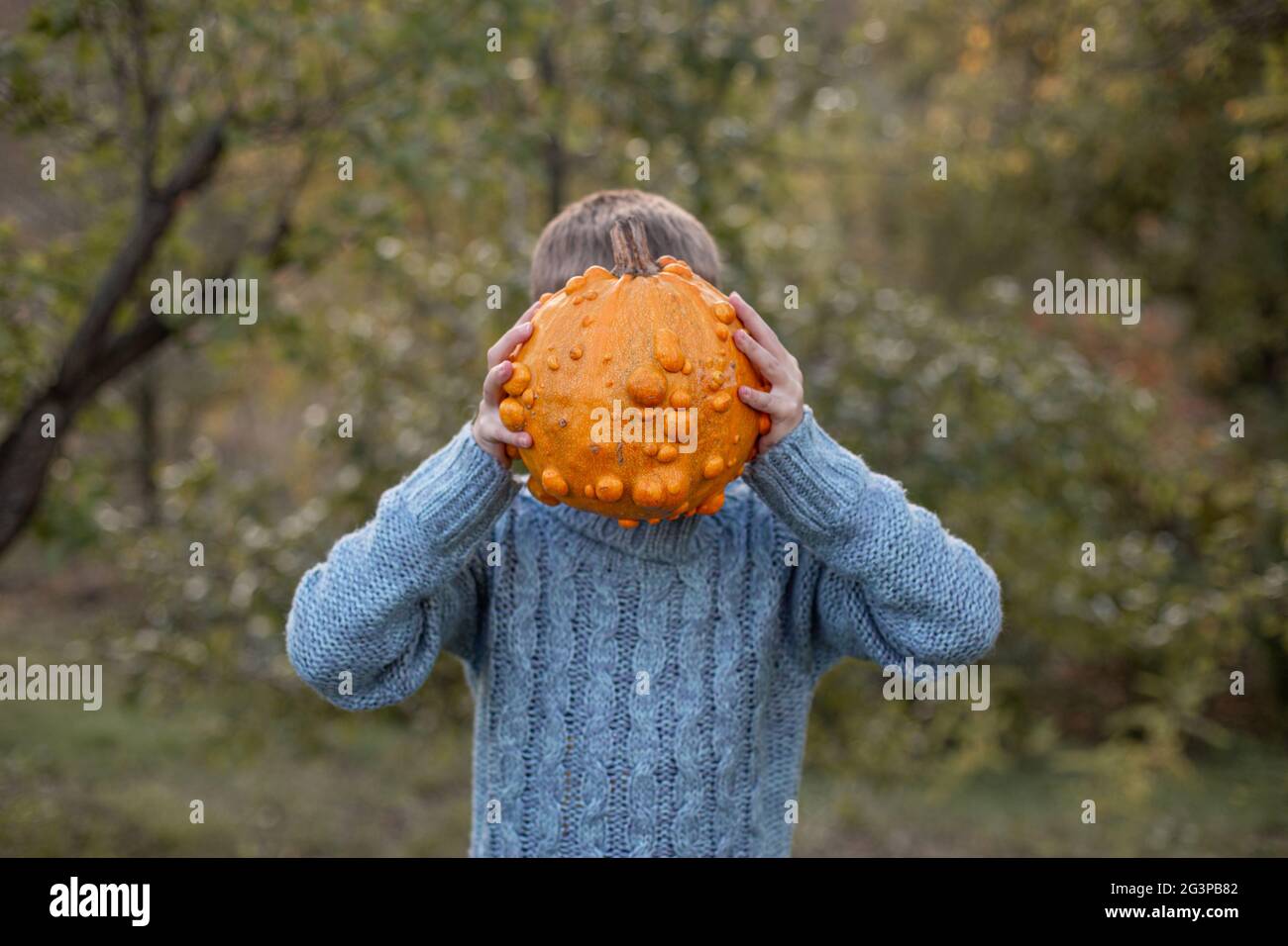 Deformed ugly orange pumpkin in a child hands Stock Photo - Alamy