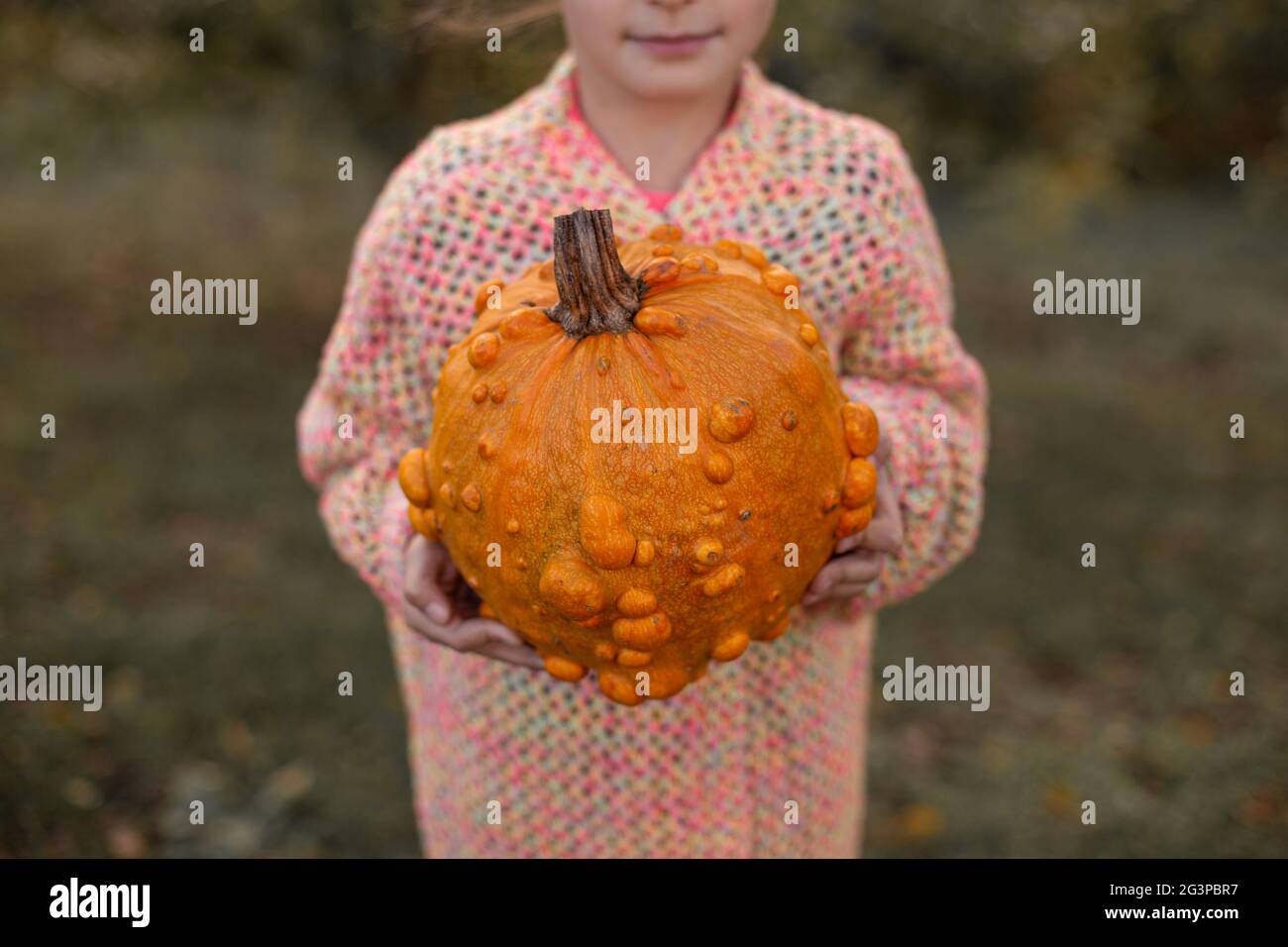 Deformed ugly orange pumpkin in a child hands Stock Photo - Alamy