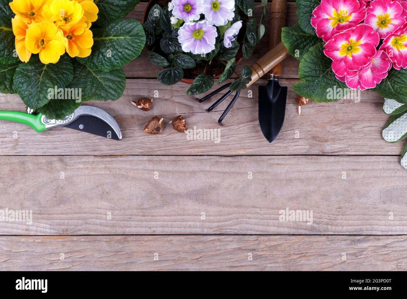 Gardening tools and flowers Stock Photo - Alamy