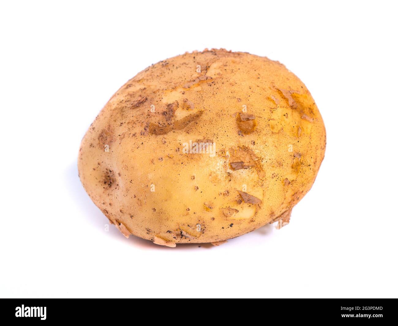 Fresh dirty potato isolated on white background, vegetable. Food Stock ...