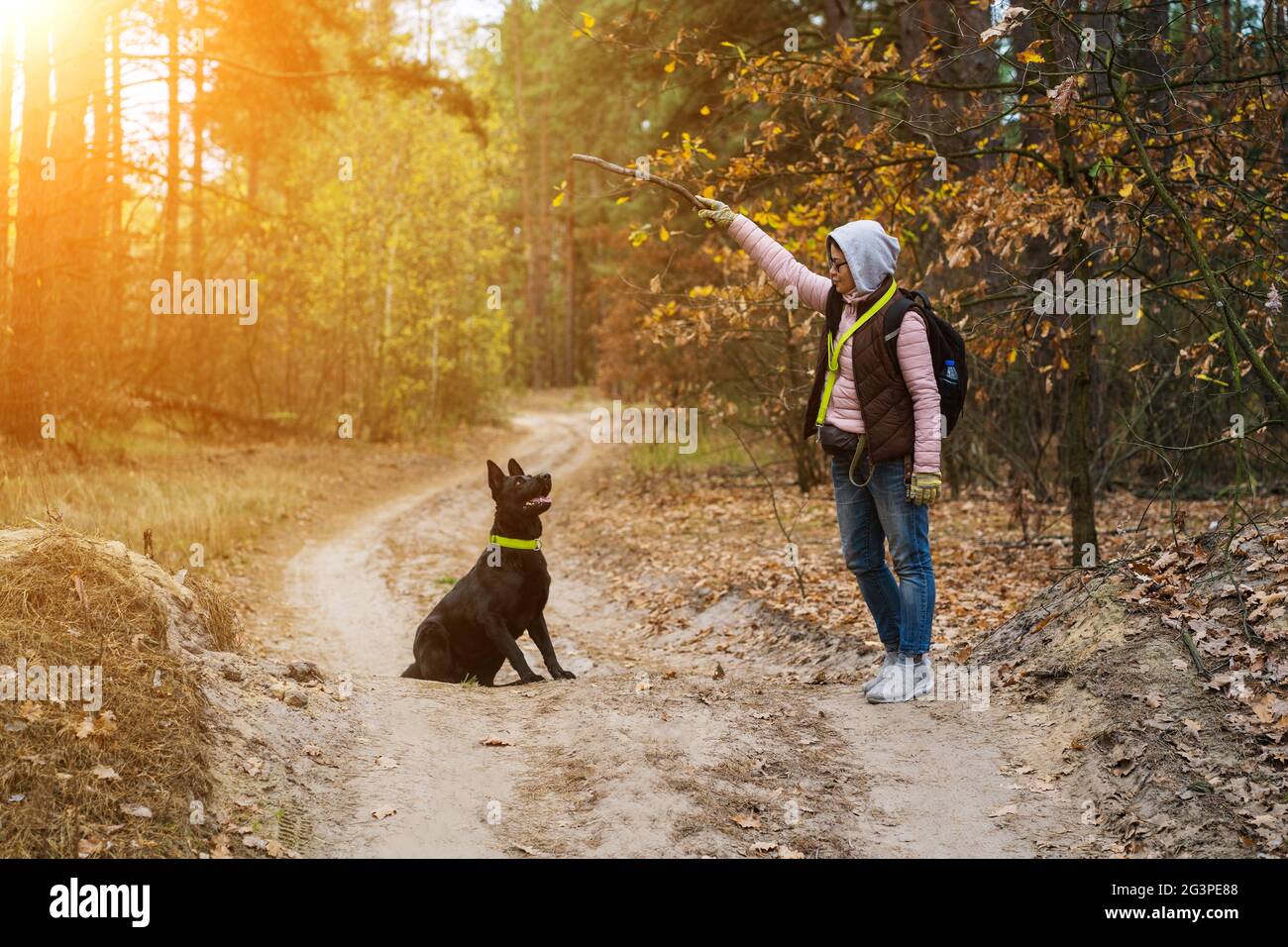 Woman Training Her Dog In The Forest Stock Photo - Alamy
