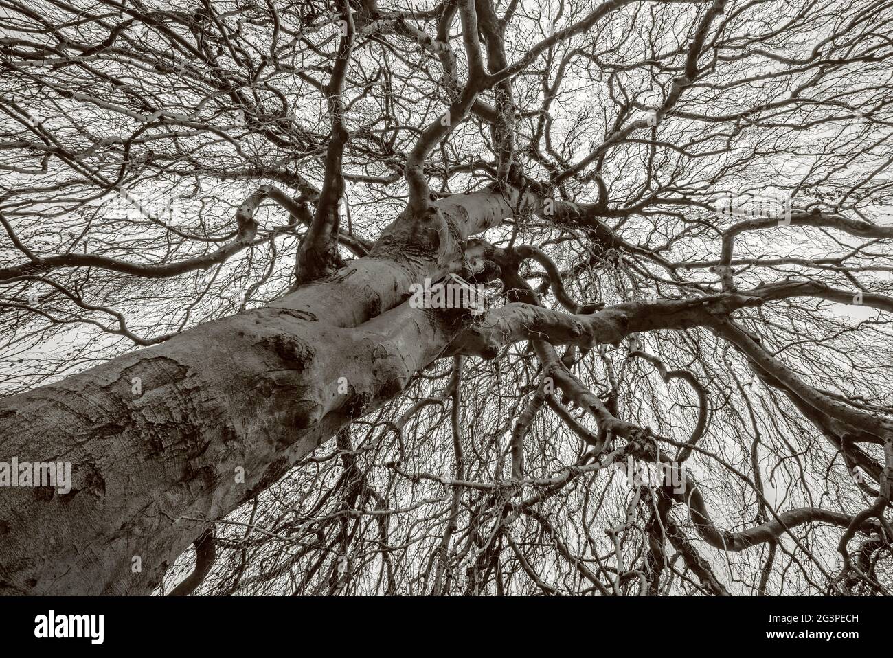 Hanging castle hi-res stock photography and images - Alamy