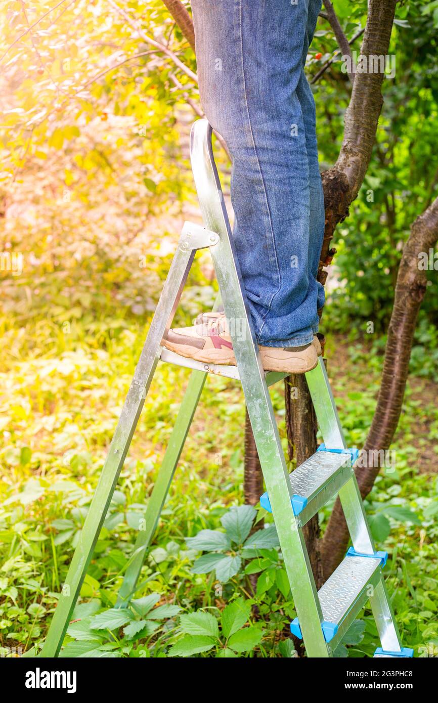 Folding ladder hi-res stock photography and images - Alamy
