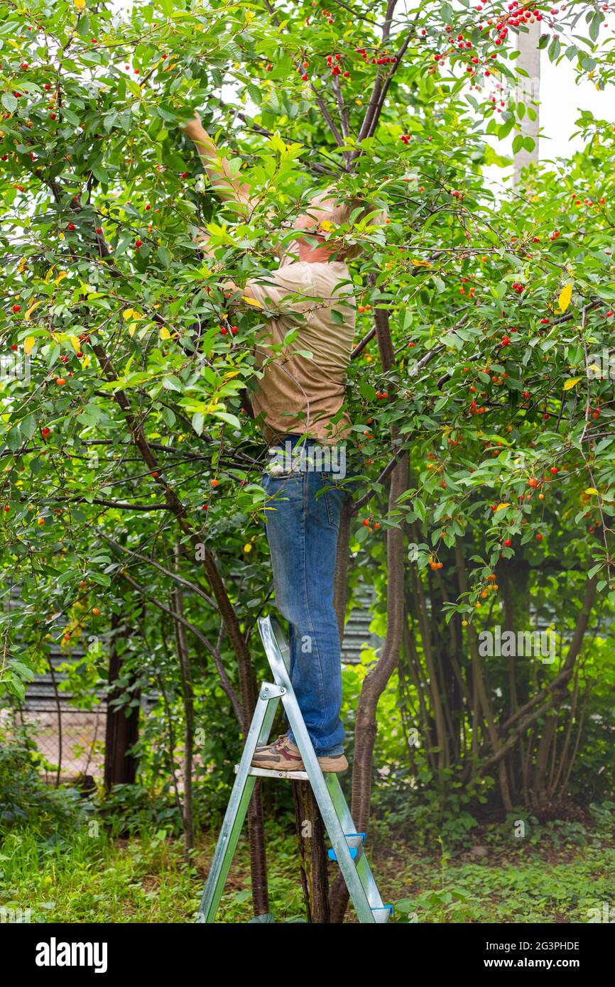 Folding ladder hi-res stock photography and images - Alamy