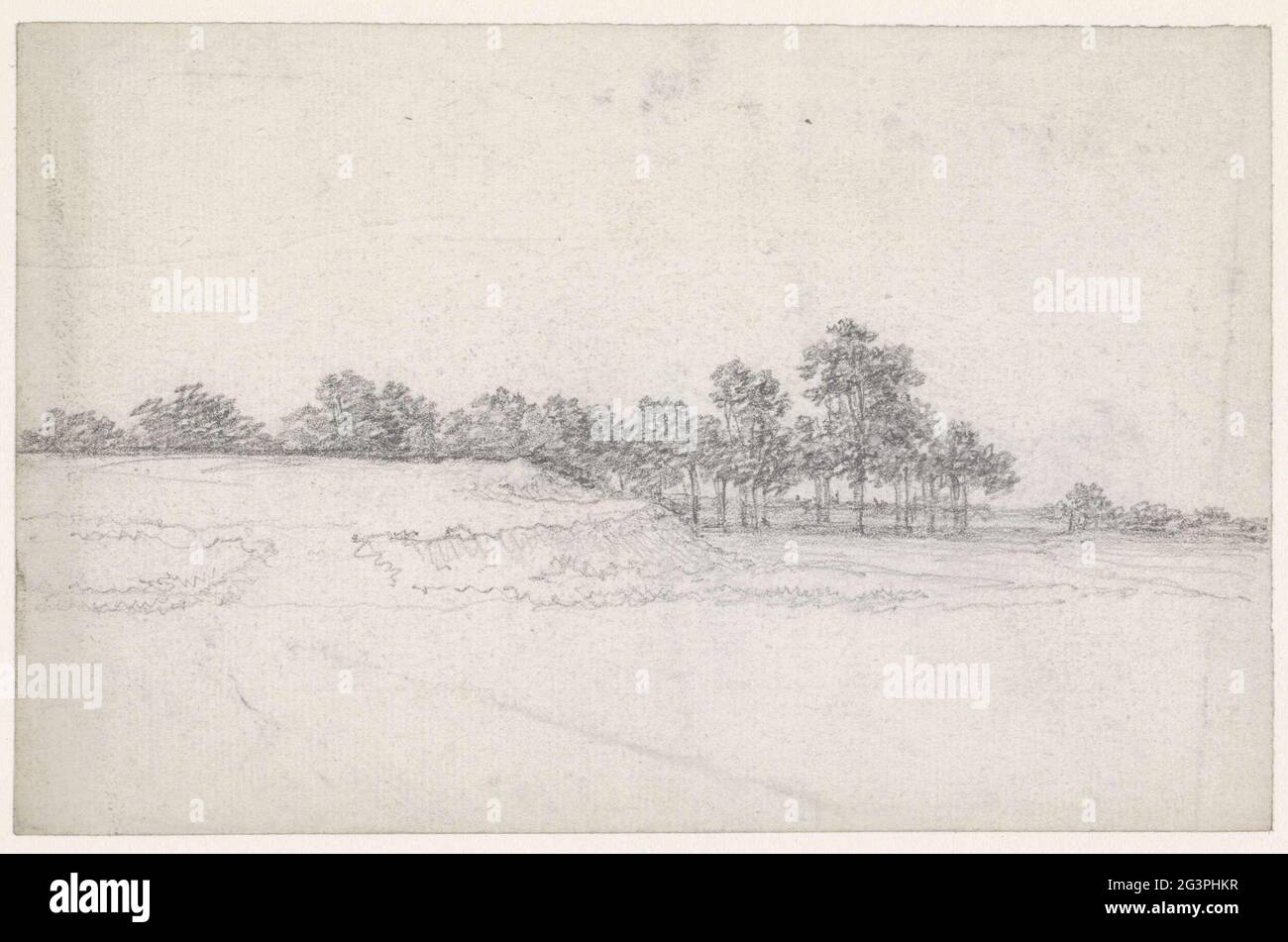 Terrain fold with trees Stock Photo - Alamy