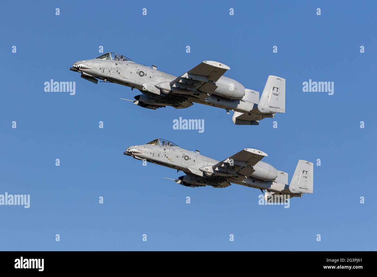 A 10 warthog hi-res stock photography and images - Alamy