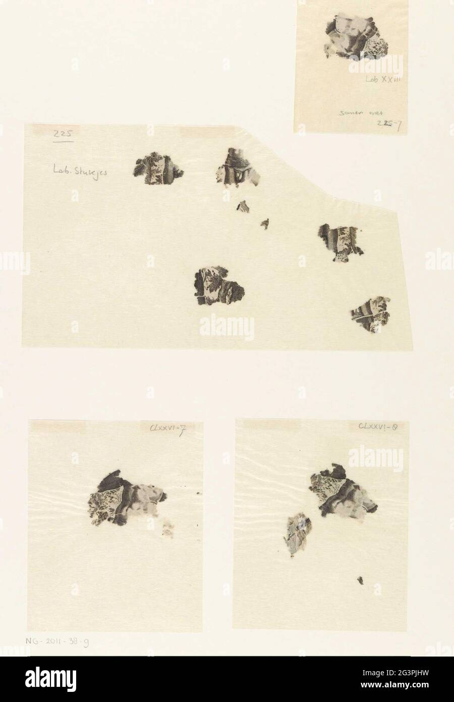 Loose fragments of a print of Adam and Eva Stock Photo - Alamy