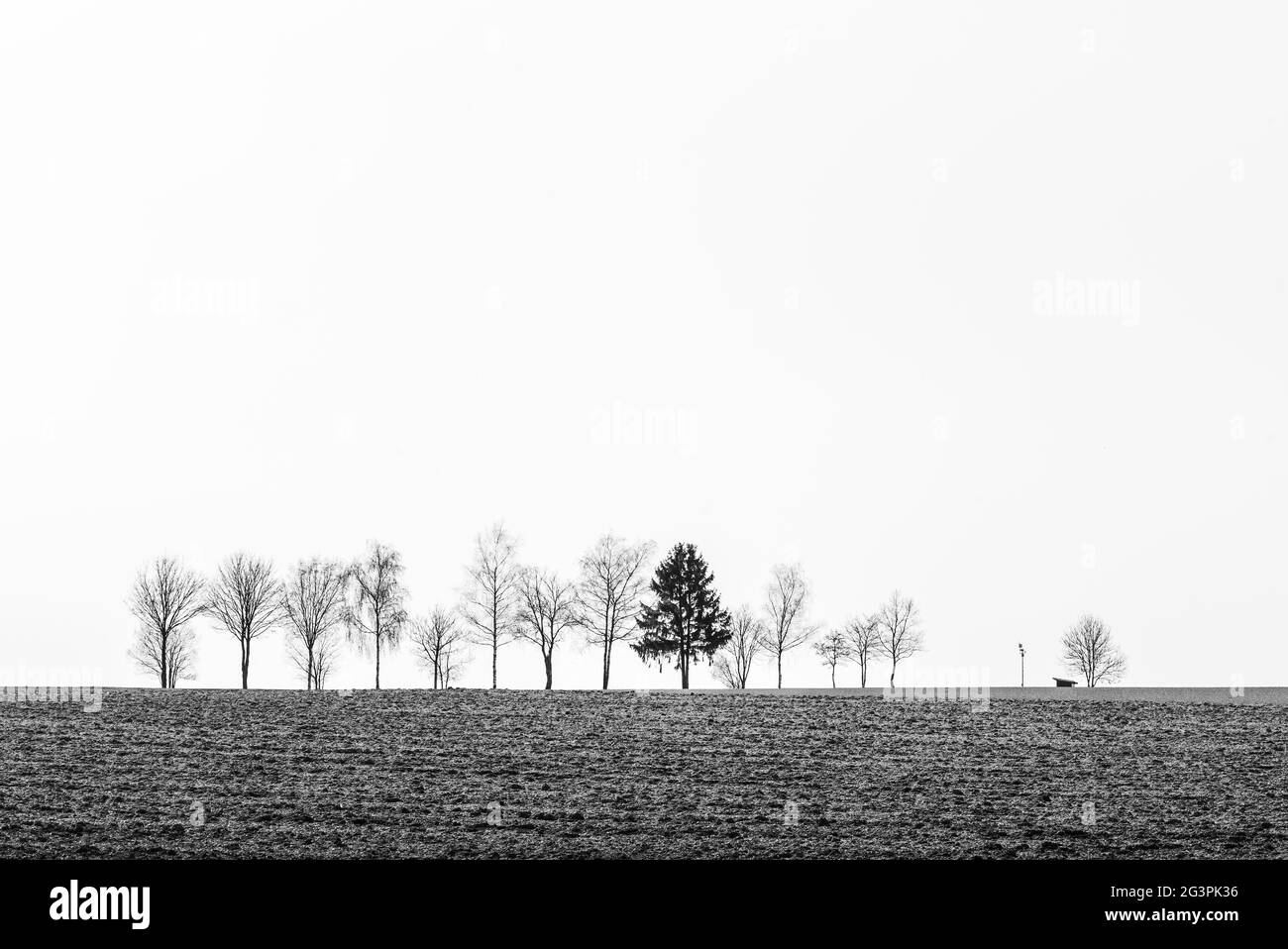 Field boundary trees hi-res stock photography and images - Alamy