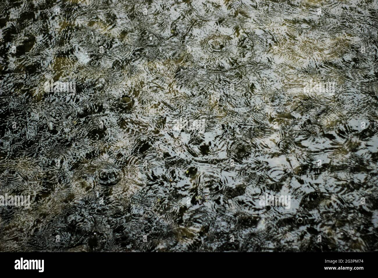 Rainwater harvesting house hi-res stock photography and images - Alamy