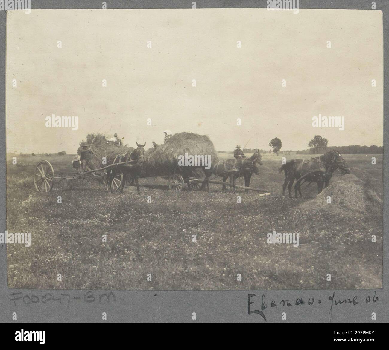 Dutch farmers in new york hi-res stock photography and images - Alamy