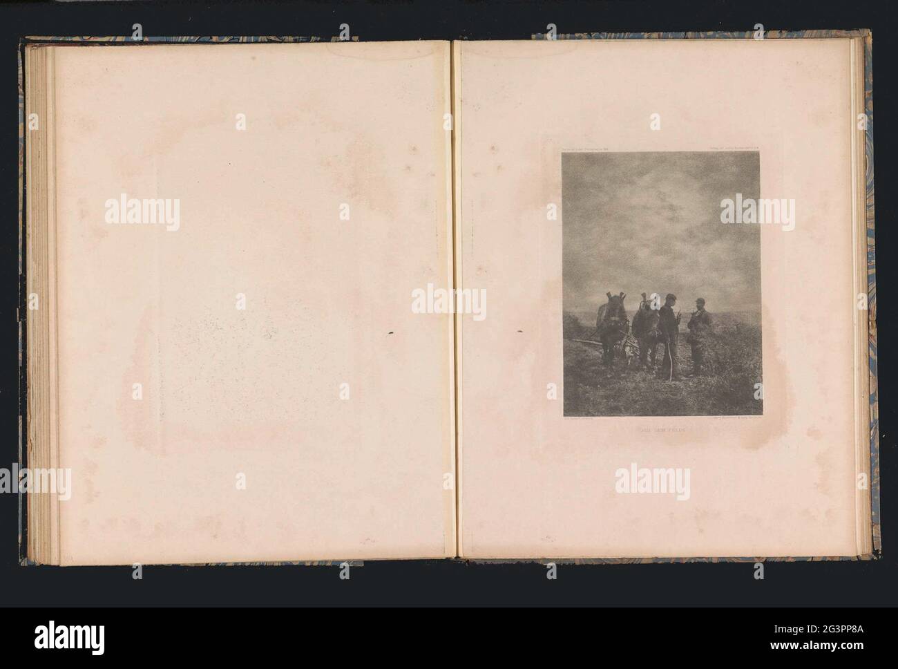 Felde hi-res stock photography and images - Alamy