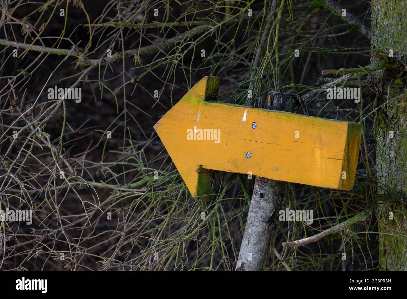 A wooden arrow on a stick indicates the direction of a path in a dark ...