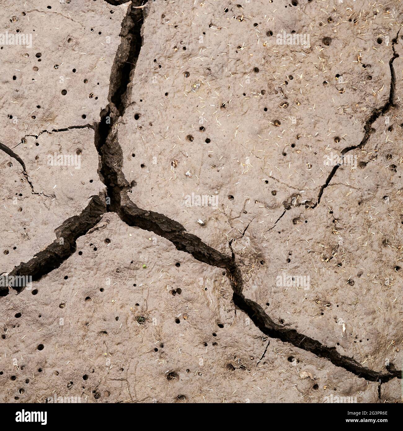Cracks in mud hi-res stock photography and images - Alamy