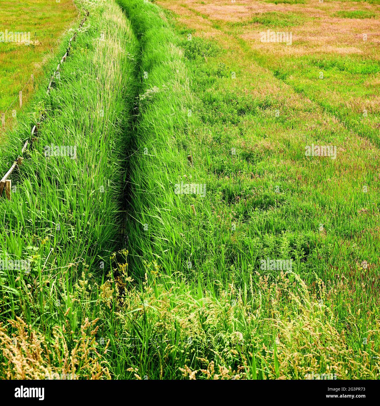 Water filled ditch hi-res stock photography and images - Alamy
