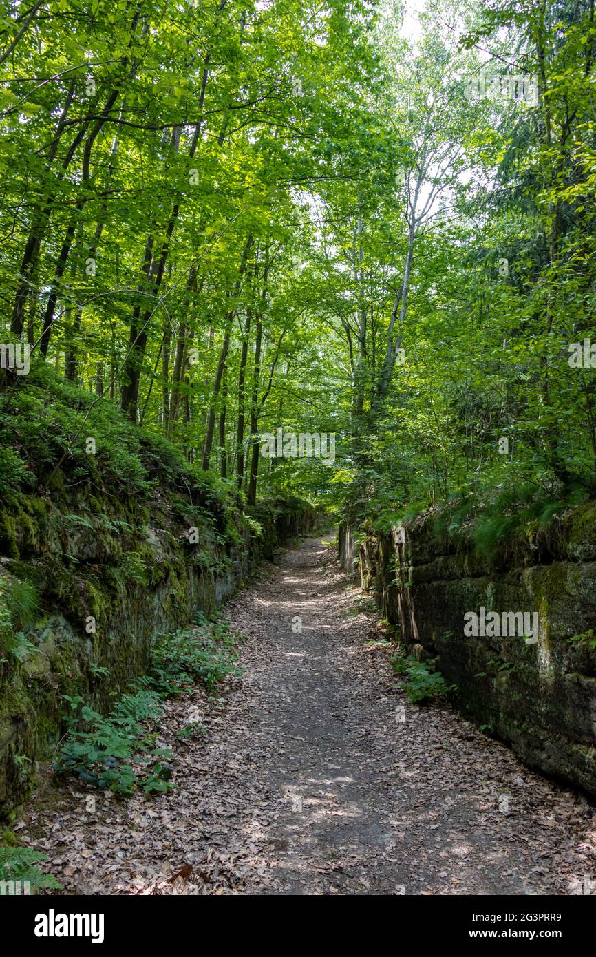 Forest path with trees over stone walls Stock Photo - Alamy