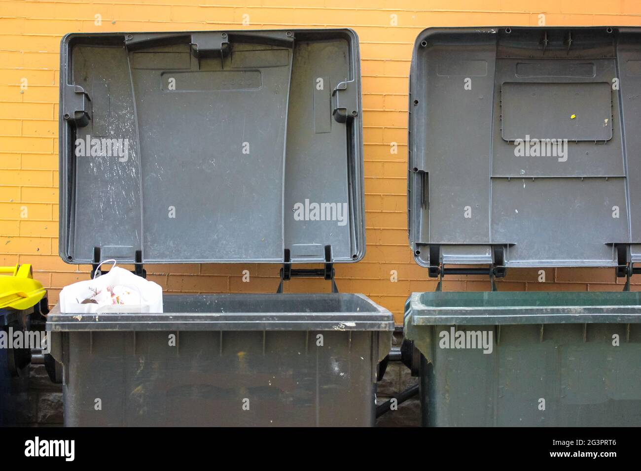 Plastic large trash cans with the lid up and garbage inside against a ...