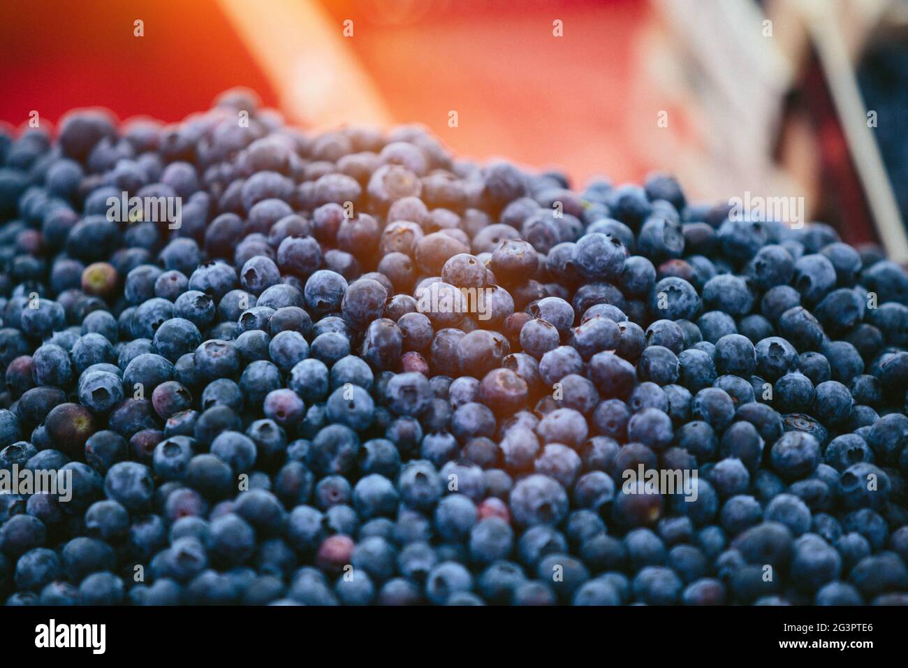 Farmers market produce box hi-res stock photography and images - Alamy