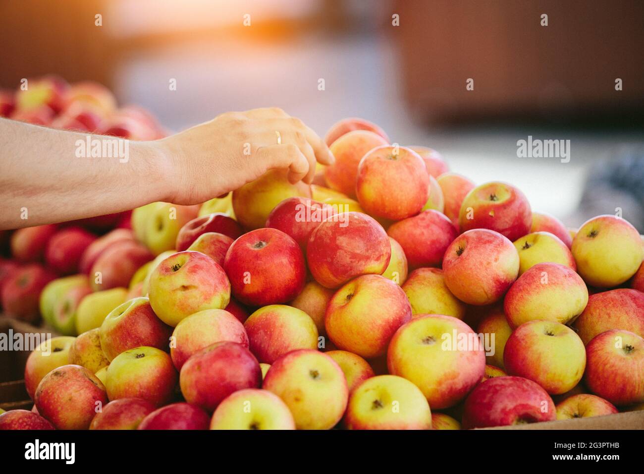 Farmers picking apples hi-res stock photography and images - Alamy