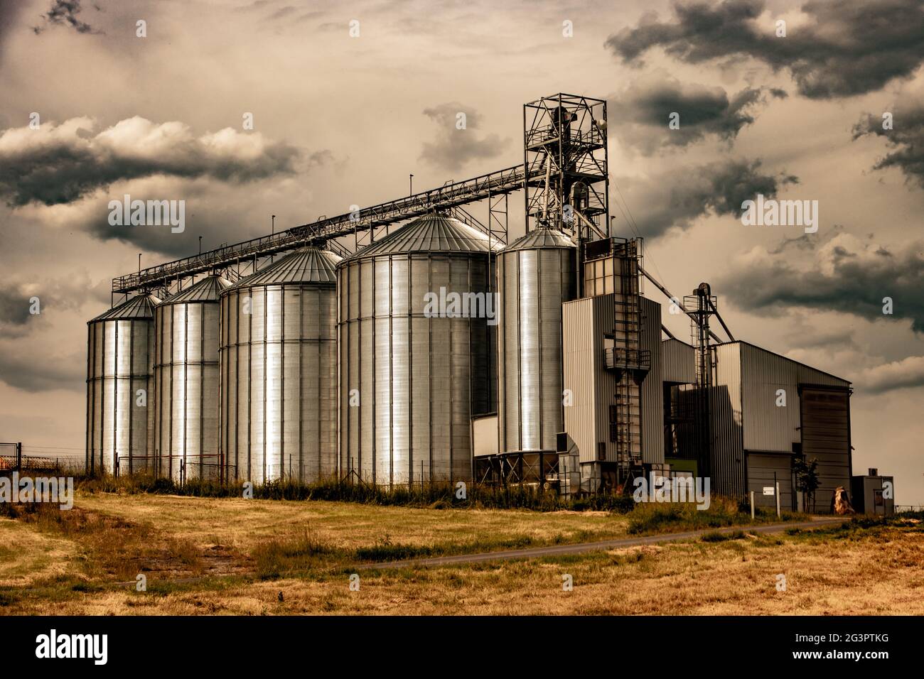 Farm silo for storing cereals in the countryside Stock Photo - Alamy