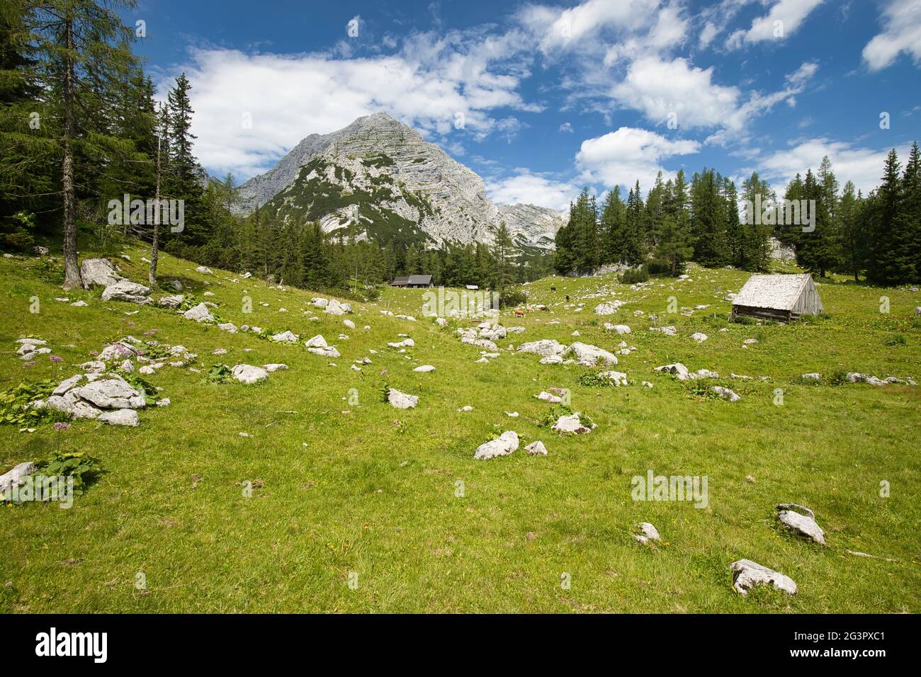 Alpine pasture landscape in the Gesäuse National Park, Austria Stock ...