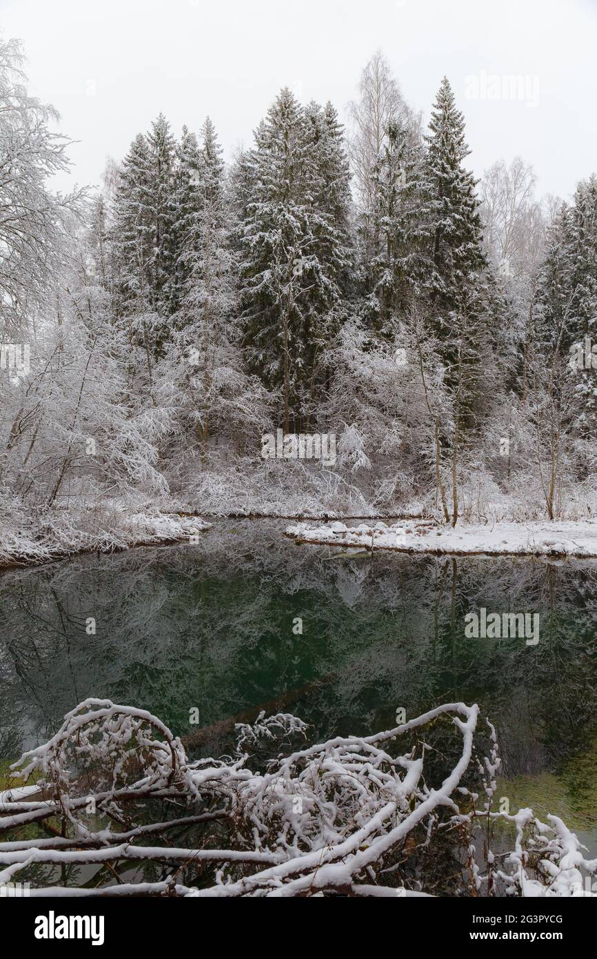 Siniallikad hi-res stock photography and images - Alamy