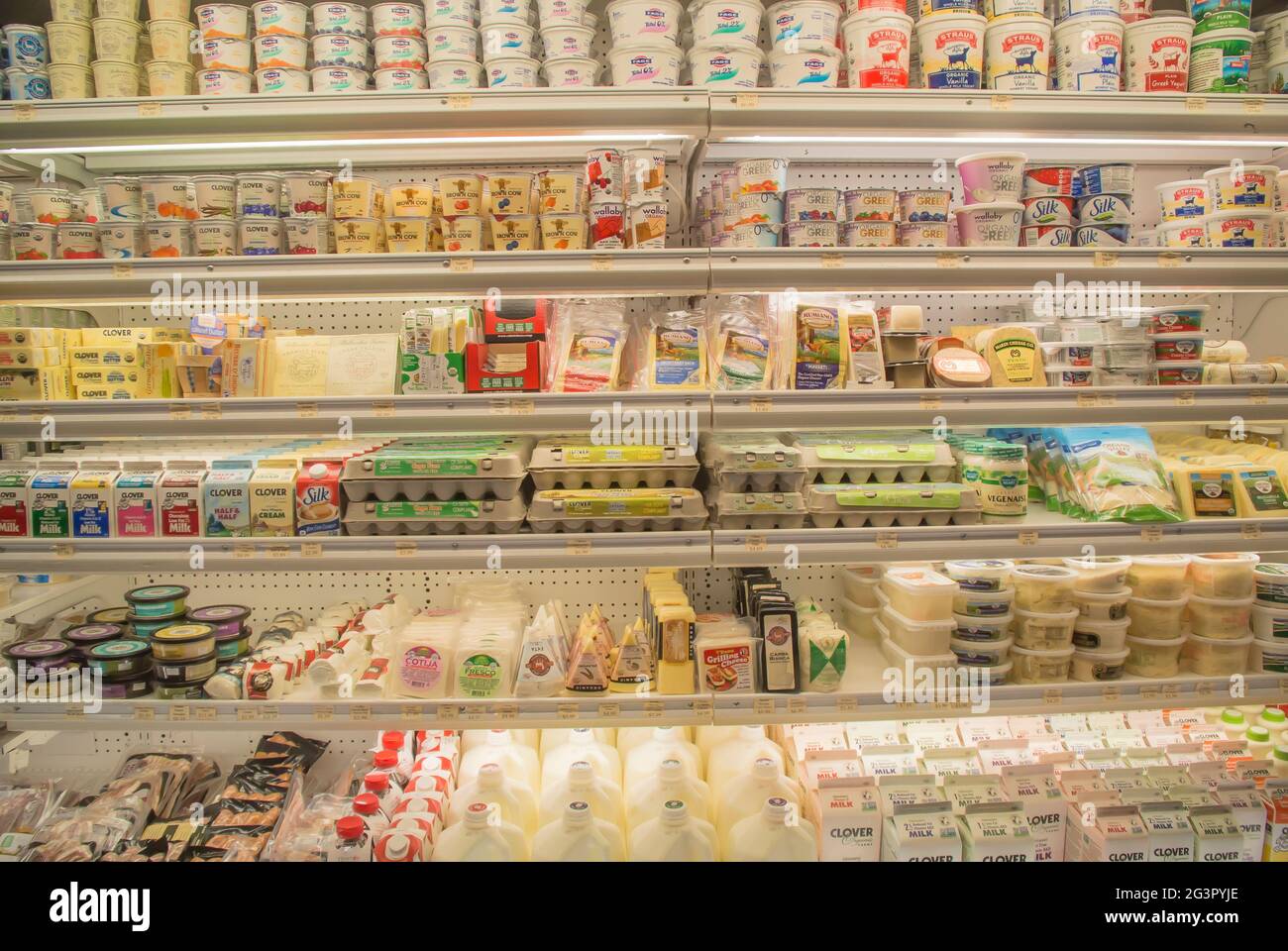 Dairy products on supermarket shelves hi-res stock photography and ...