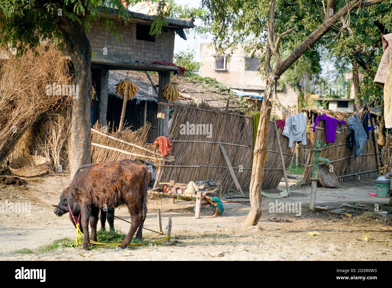 Poor village girl hi-res stock photography and images - Alamy