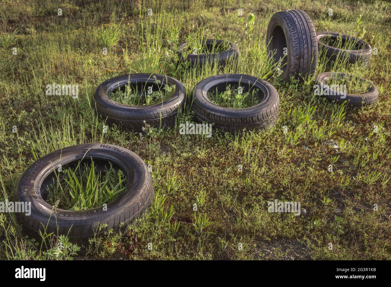 Deposed hi-res stock photography and images - Alamy