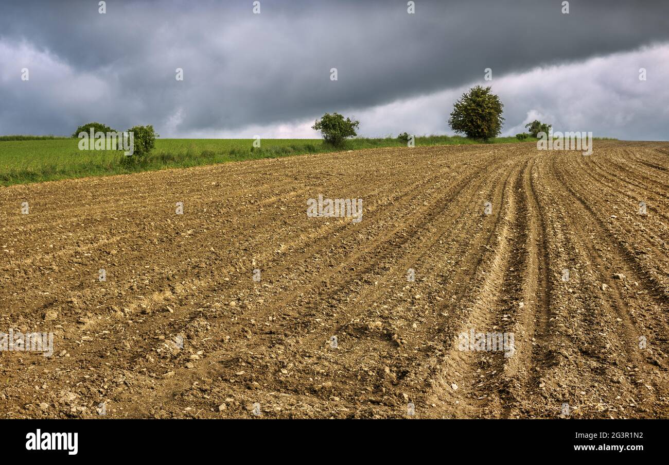 Tracks of a field Stock Photo - Alamy